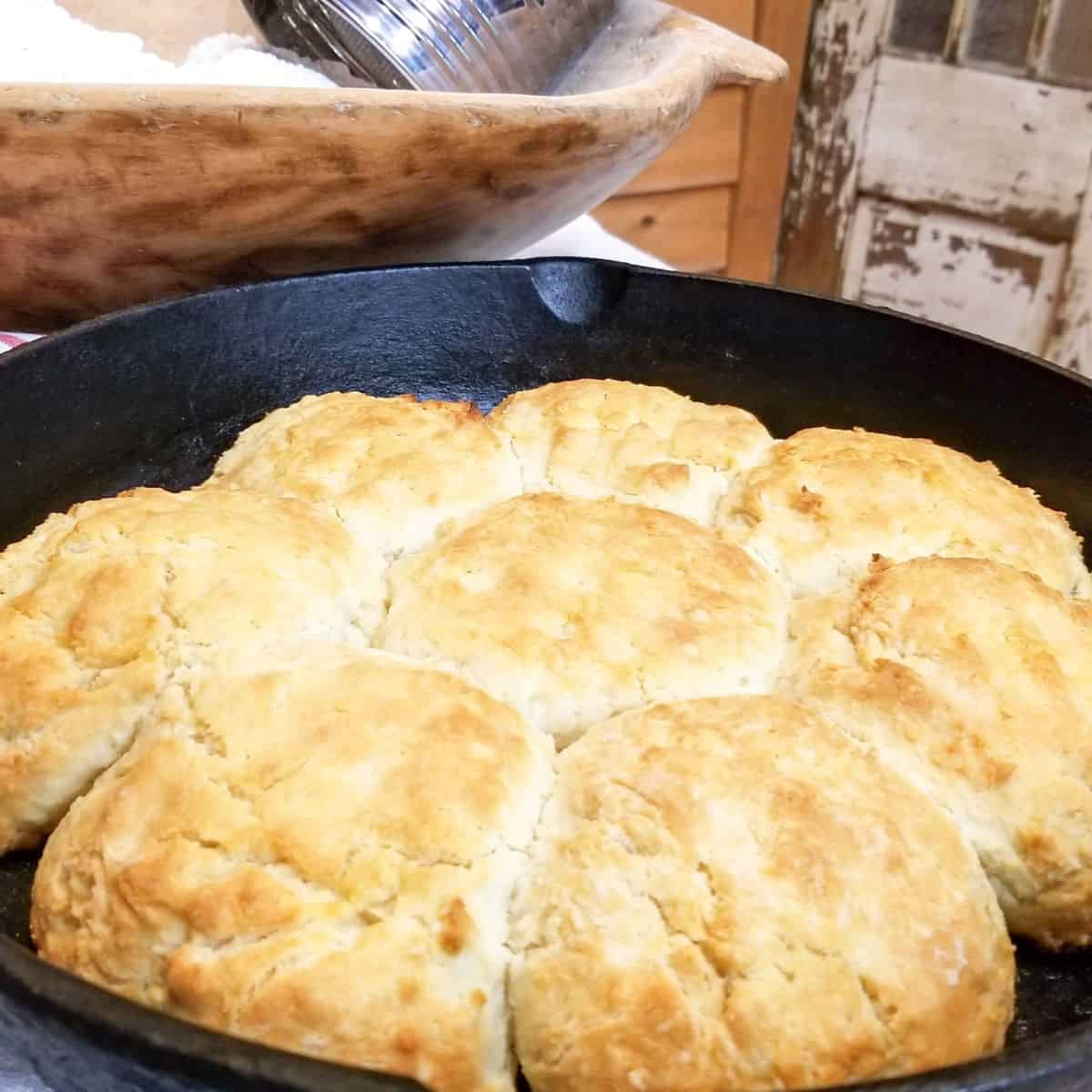 Southern Cathead Biscuits - Home at Cedar Springs Farm