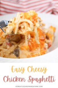 Southern Chicken Spaghetti with Rotel - Home at Cedar Springs Farm