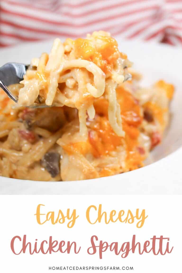 Southern Chicken Spaghetti with Rotel - Home at Cedar Springs Farm