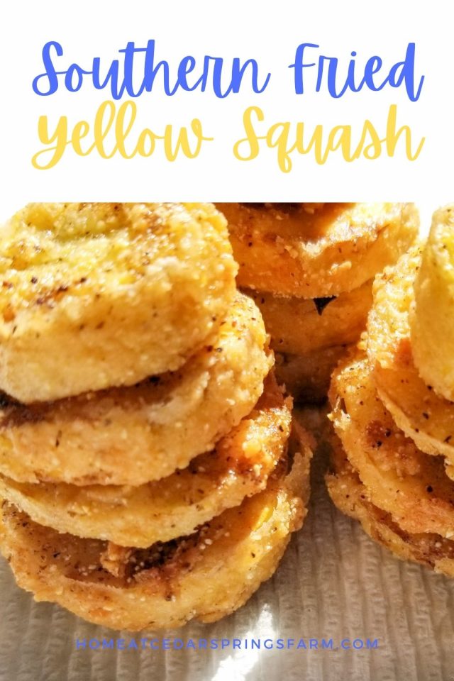Southern Fried Yellow Squash - Home at Cedar Springs Farm