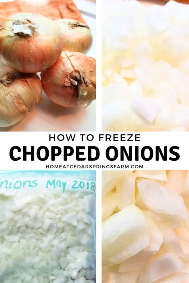 How To Freeze Chopped Onions - Home at Cedar Springs Farm