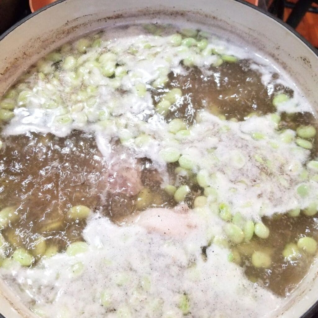 Southern Lima Beans - Home at Cedar Springs Farm