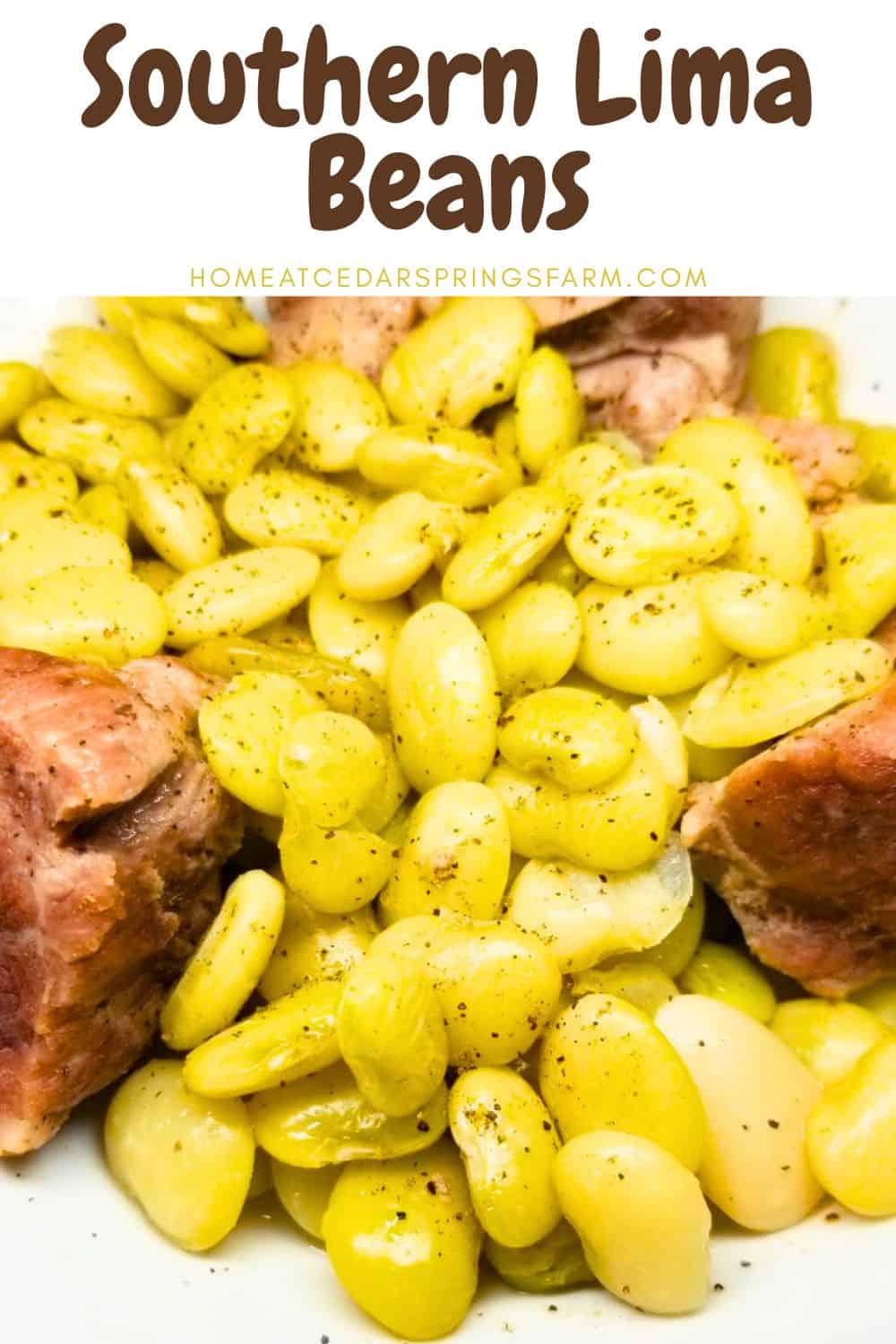 Southern Lima Beans - Home at Cedar Springs Farm