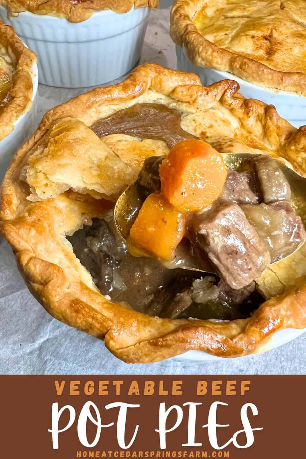 Mini Beef Pot Pies - Home at Cedar Springs Farm