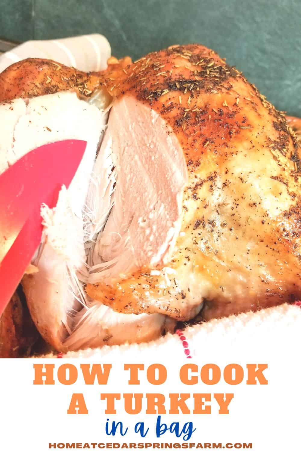 How To Cook A Turkey In A Bag - Home at Cedar Springs Farm