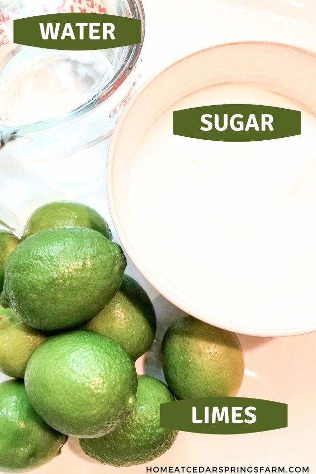 Easy Homemade Limeade Recipe - Home at Cedar Springs Farm
